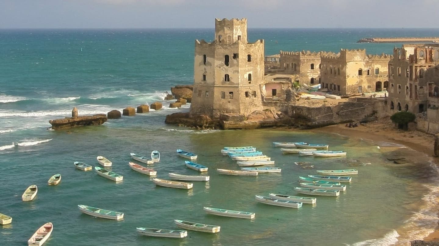 ソマリア料理の魅力満載！地元で愛される絶品メニュー8選 | NEWT（ニュート）